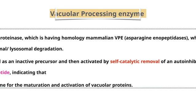 Plant Vacuole Biogenesis / Bioengineering , their roles, their models ...