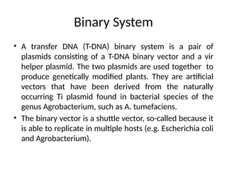 Plant Vectors.pptx by taimoor khan biotech | PPTX