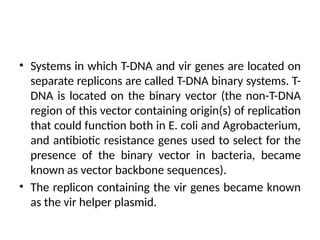 Plant Vectors.pptx by taimoor khan biotech | PPTX