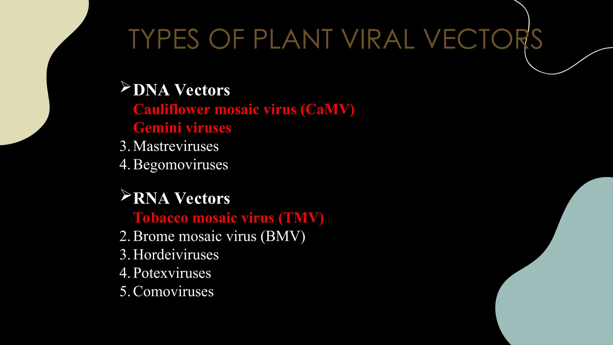 PLANT VIRAL VECTORS.ppt