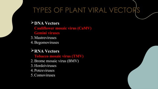 PLANT VIRAL VECTORS.ppt