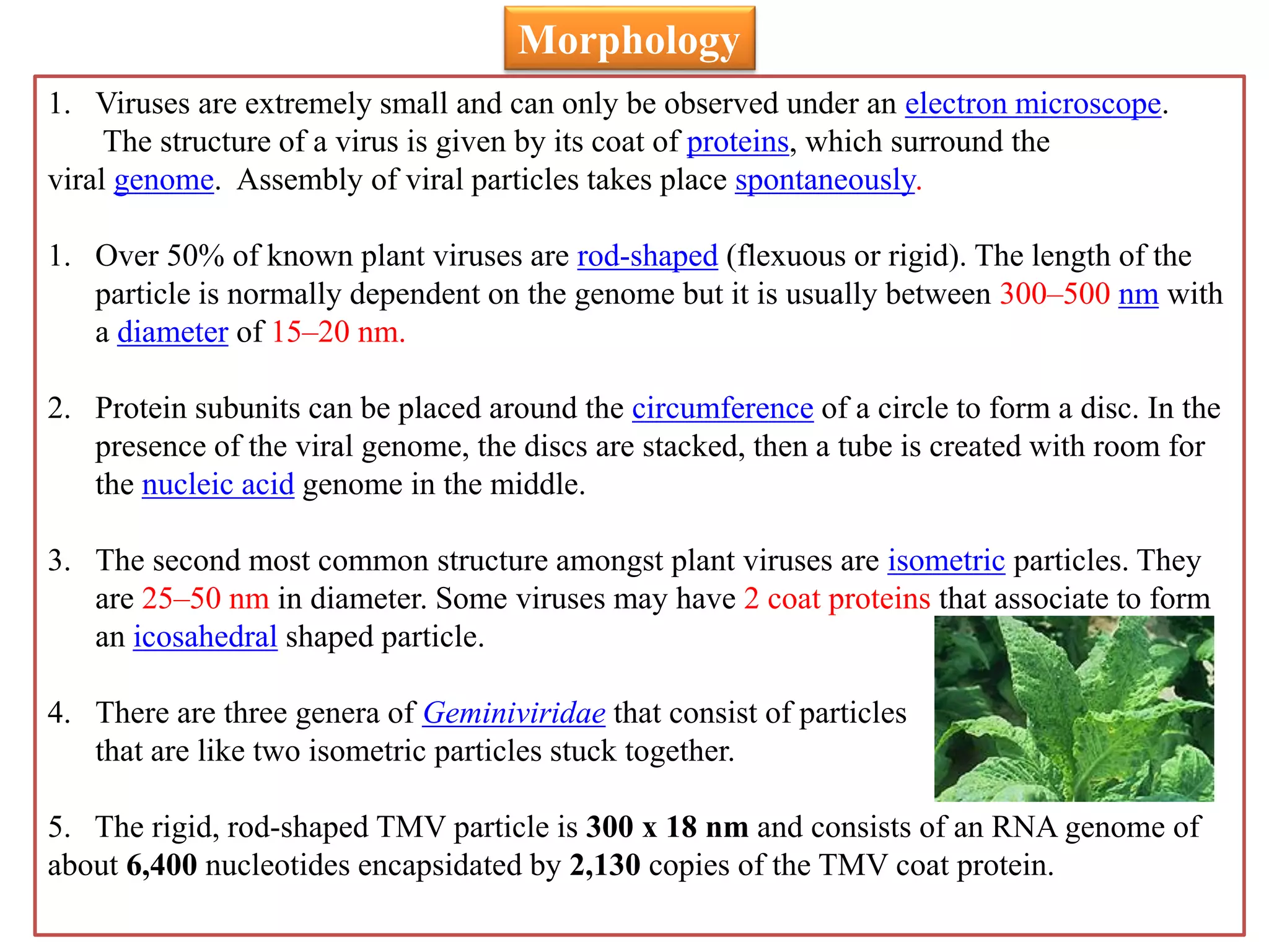 Plant virology | PDF