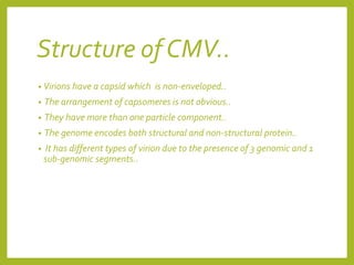 Plant virology | PPT