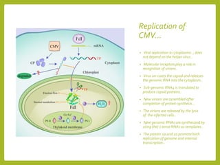Plant virology | PPT
