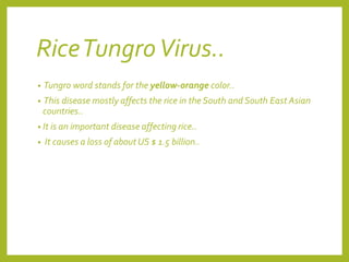 Plant virology | PPTX