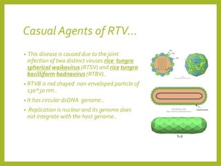 Plant virology | PPT