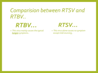 Plant virology | PPT