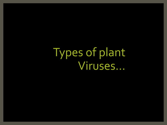 Plant virology | PPTX | Infectious Diseases | Diseases and Conditions