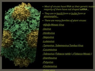 Plant virology | PPT