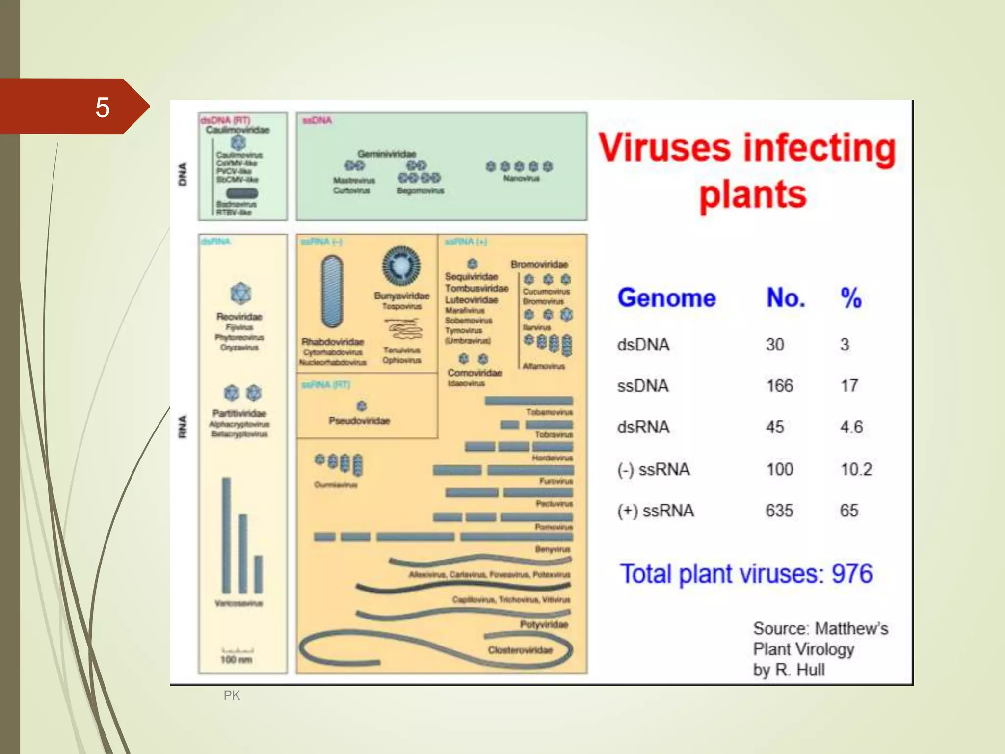 Plant virus | PPSX