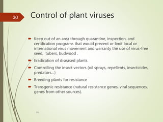 Plant virus | PPSX