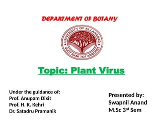 Plant virus (disease) by swapnil anand.pptx