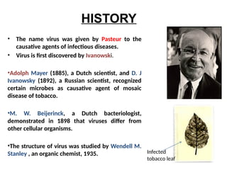 Plant virus (disease) by swapnil anand.pptx
