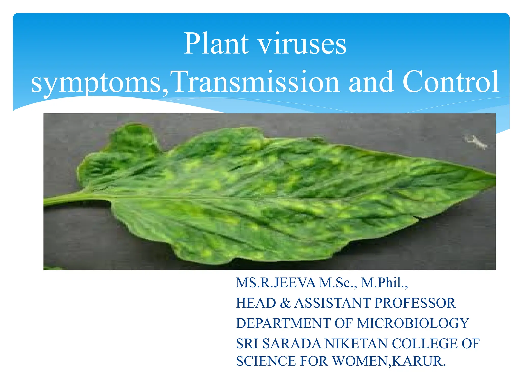 Plant viruses symptoms,Transmission and Control | PPTX