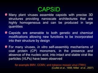 Plant viruses as biotemplates by faisal | PPT