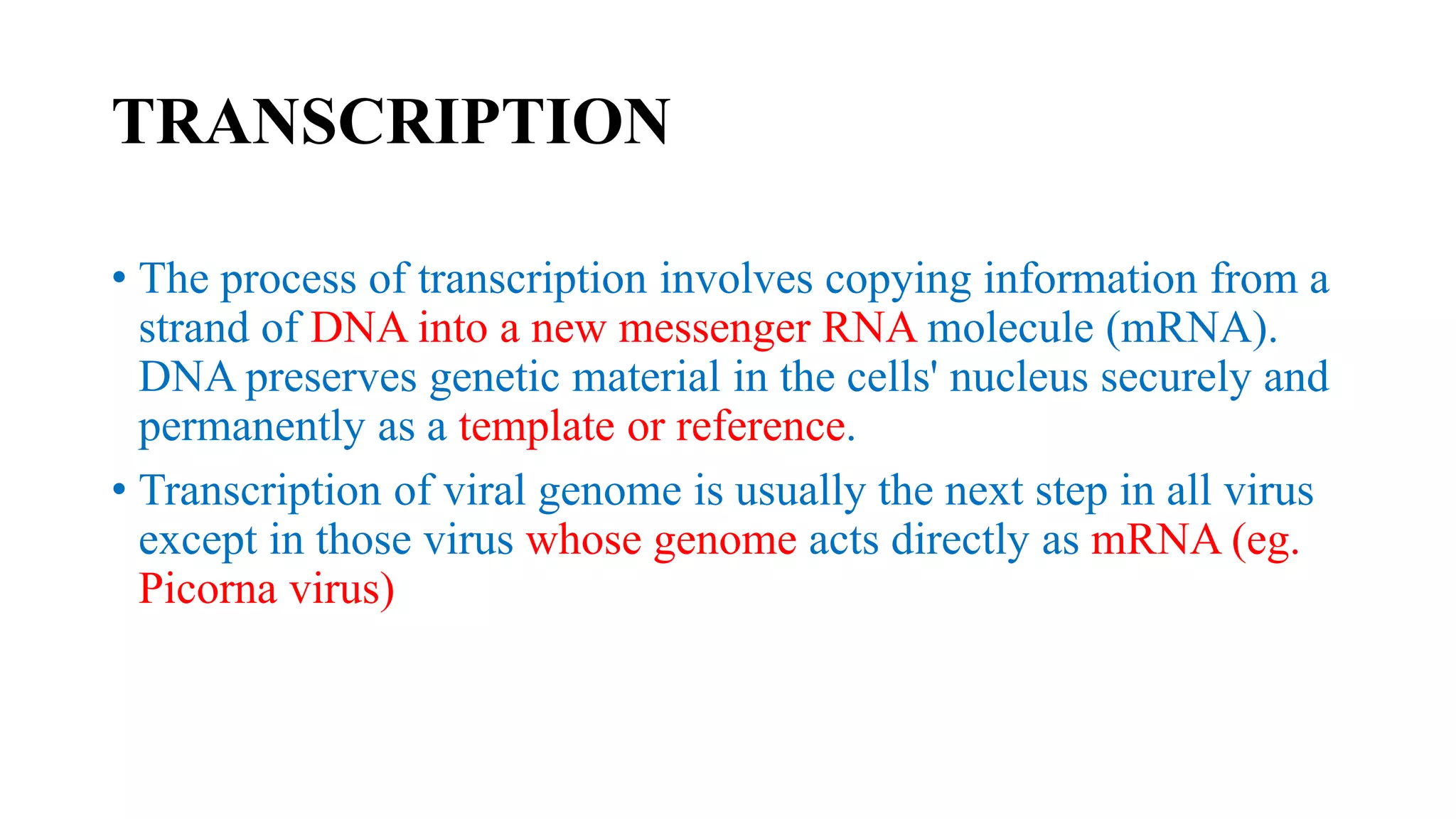 PLANT VIRUS REPLICATION.pptx