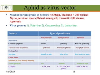 Plant virus Transmission, M. Rafi.pptx