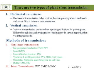 Plant virus Transmission, M. Rafi.pptx