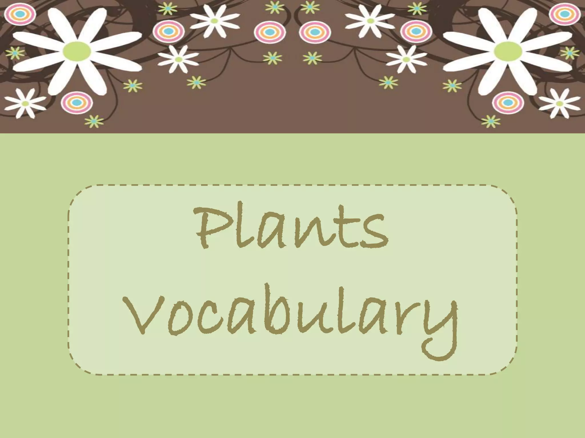 Plant vocabulary | PPTX