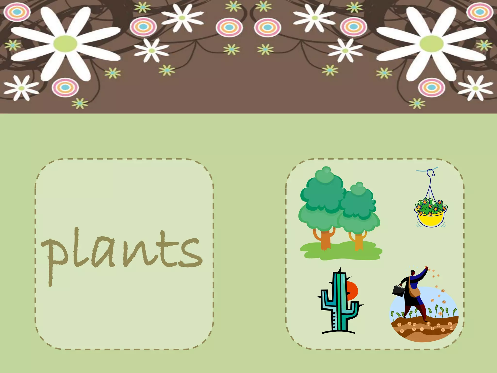 Plant vocabulary | PPTX