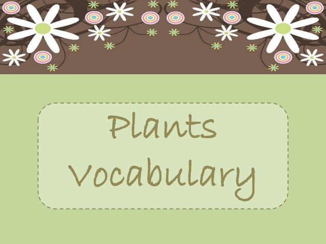Plant vocabulary | PPTX