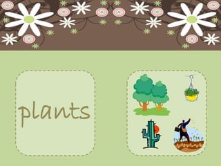 Plant vocabulary | PPTX