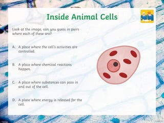 Plant vs. Animal Cells Lesson.pdf
