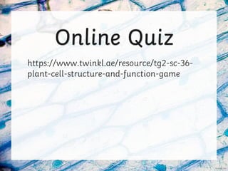 Plant vs. Animal Cells Lesson.pdf