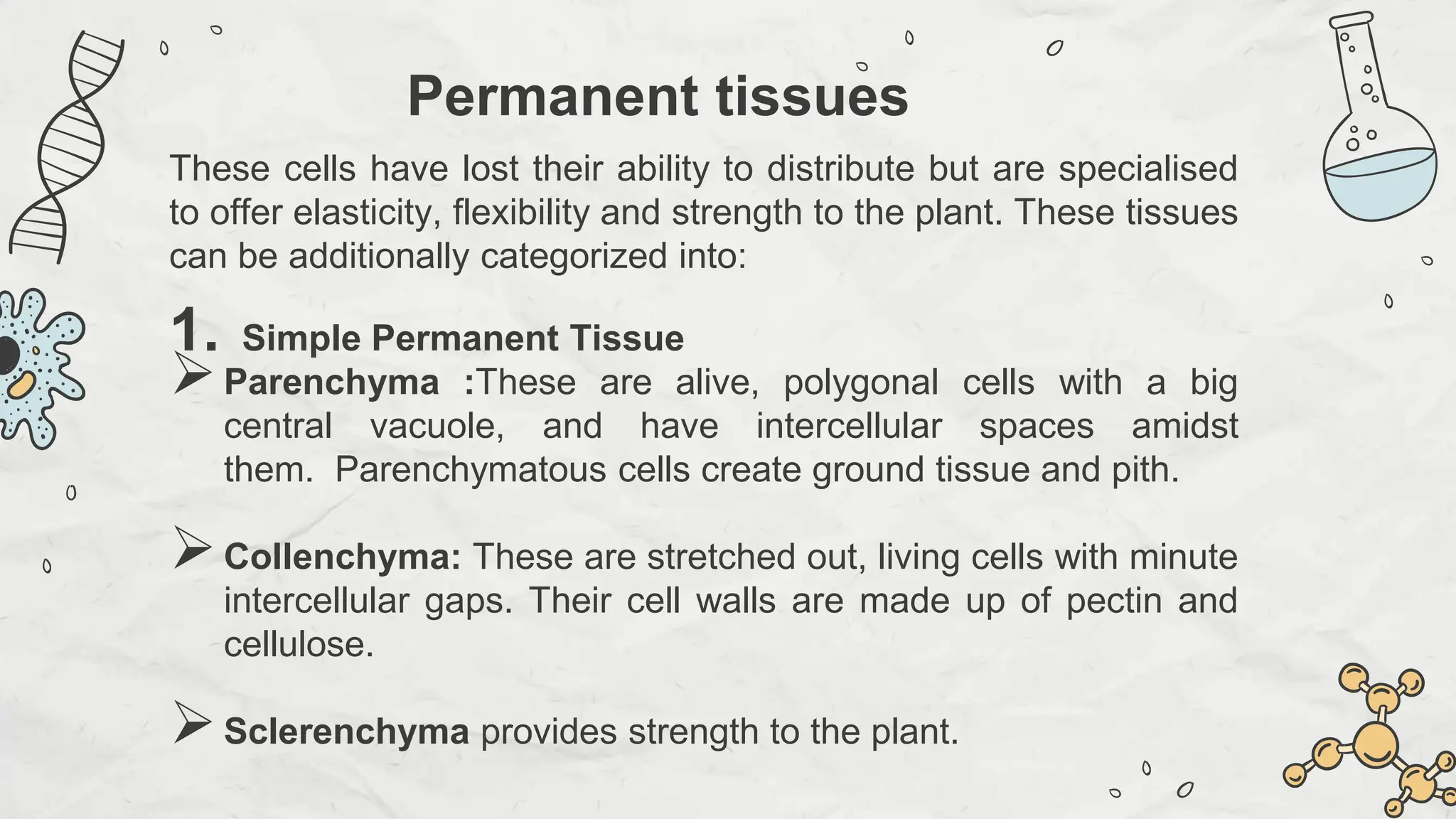 PLANT VS. ANIMAL TISSUE. pptx | PPTX