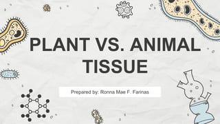 PLANT VS. ANIMAL TISSUE. pptx | PPTX