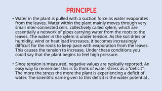 Methods to determine Plant water potential.pptx