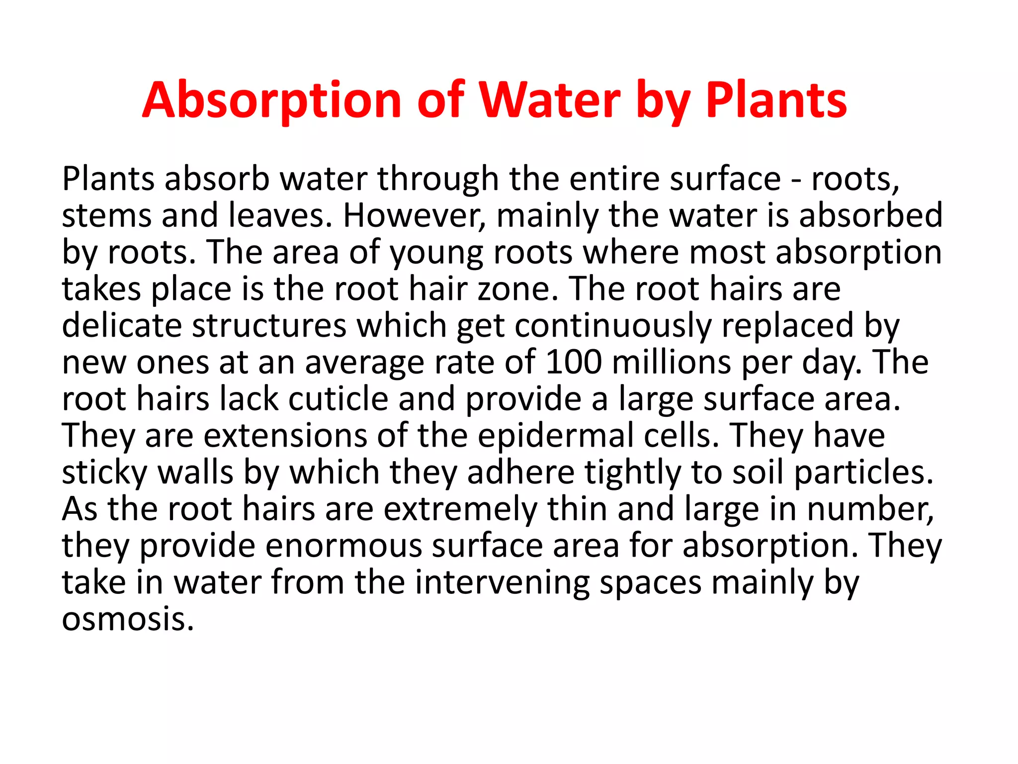 Plant water relation | PPTX