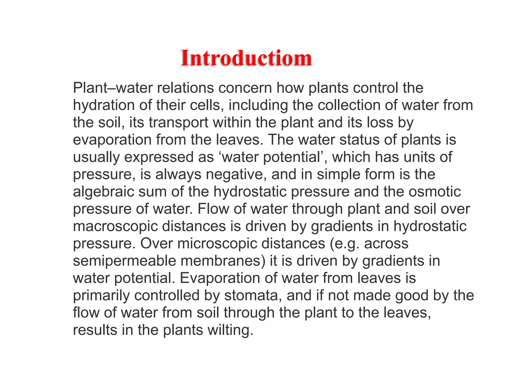 Plant water relation | PPTX