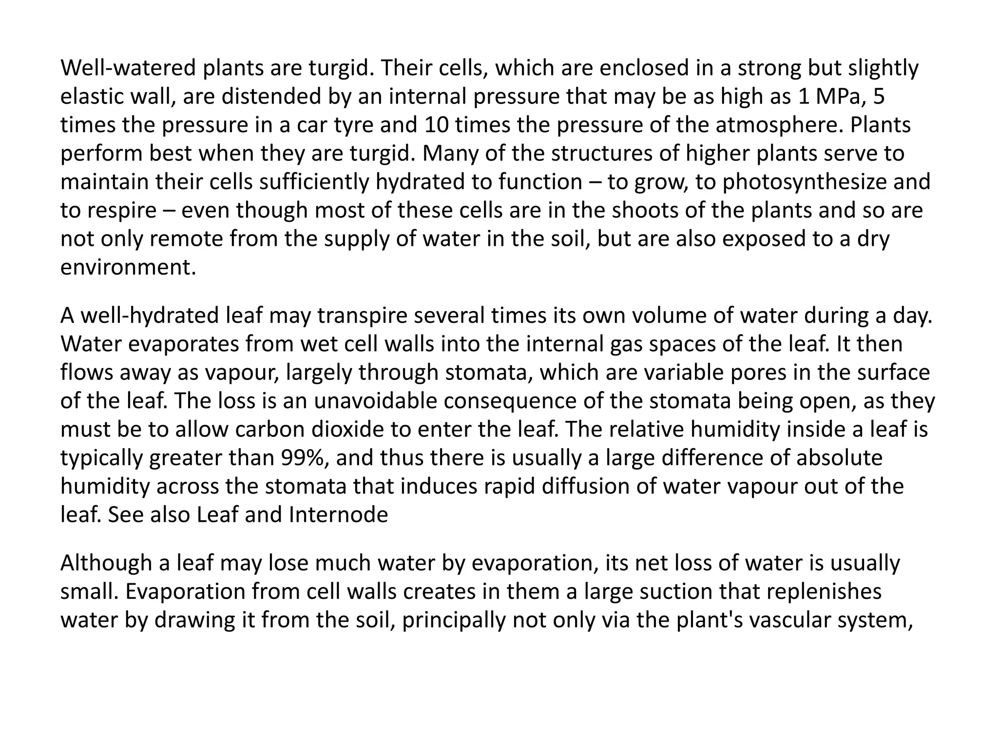 Plant water relation | PPTX
