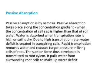 Plant water relation | PPTX