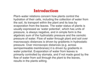 Plant water relation | PPTX
