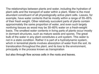 Plant water relation | PPTX