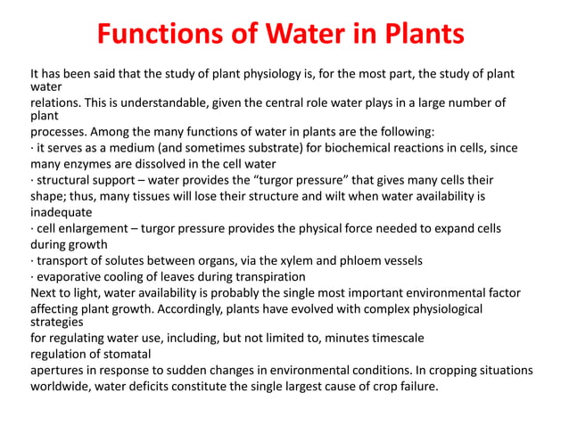 Plant water relation | PPTX