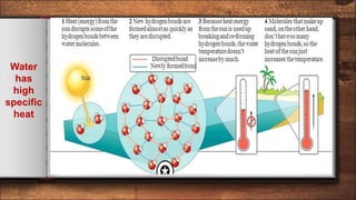properties of water | PPT