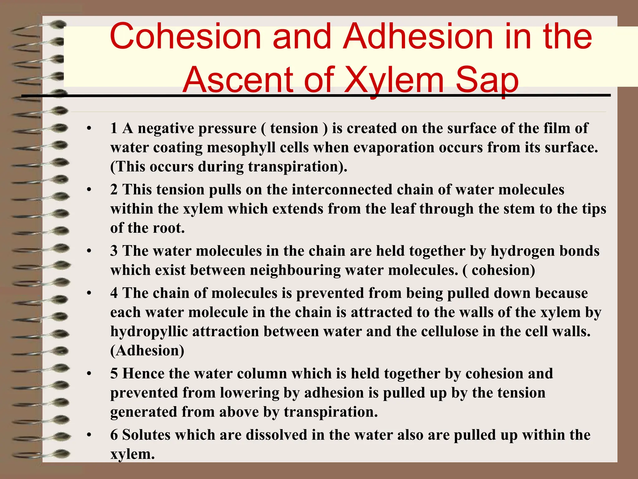 PLANT&WATERRELATION_EdDSE602lessonl.pptx