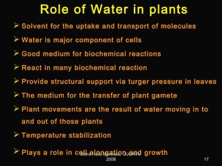 Plant water relations | PPT