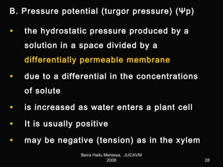 Plant water relations | PPT