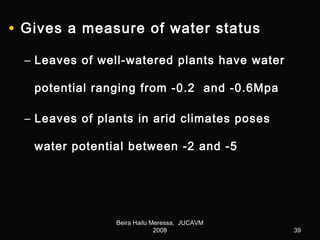Plant water relations | PPT