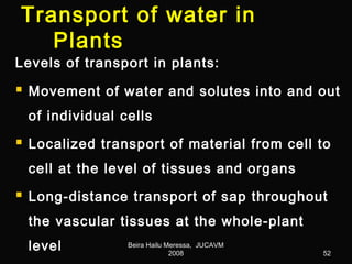 Plant water relations | PPT
