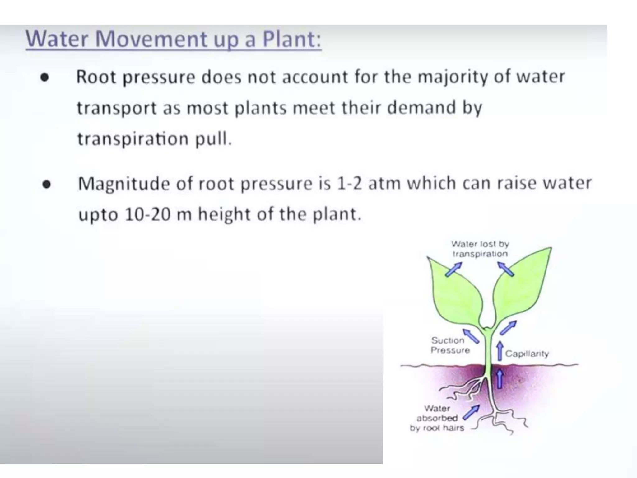 plant water relation, transpiration, root pressure and transpirational ...