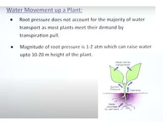 plant water relation, transpiration, root pressure and transpirational ...