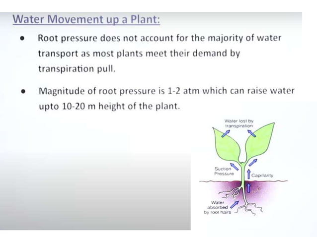 plant water relation, transpiration, root pressure and transpirational ...