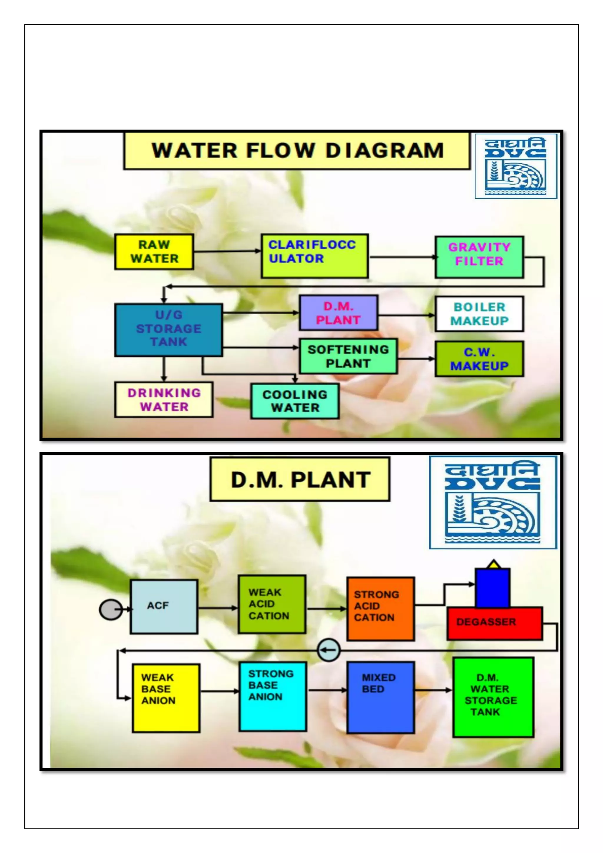 Plant water system | PDF