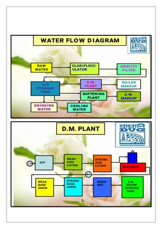 Plant water system | PDF