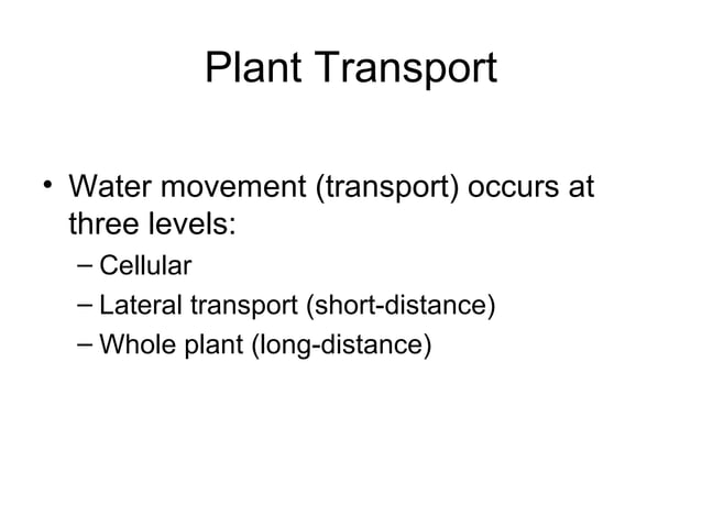 Plant water transport | PPT